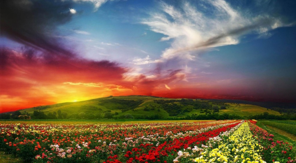 Corso di 2° livello - Fiori Italiani - i Rimedi Italiani